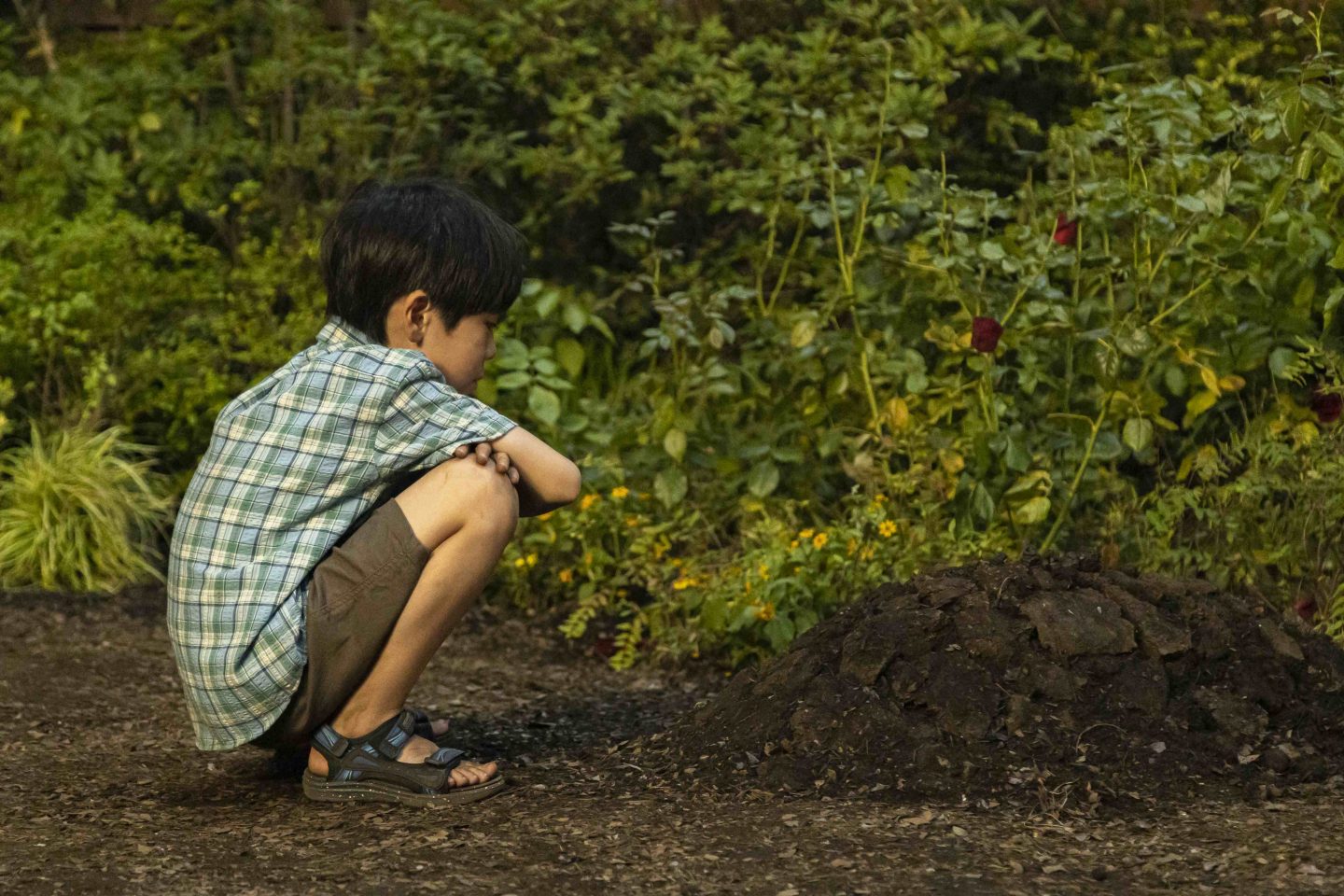 『禁じられた遊び』にみる洋画ホラーとにっかつロマンポルノへの憧憬 - otocoto | こだわりの映画エンタメサイト