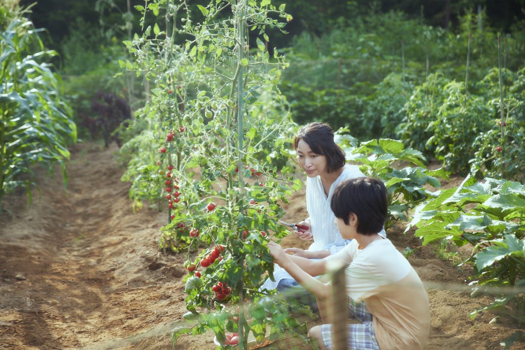 杏「現場では2日に1回くらい泣いていた」出演の決め手や見どころを語るインタビュー映像公開 映画『かくしごと』 - otocoto | こだわりの映画エンタメサイト